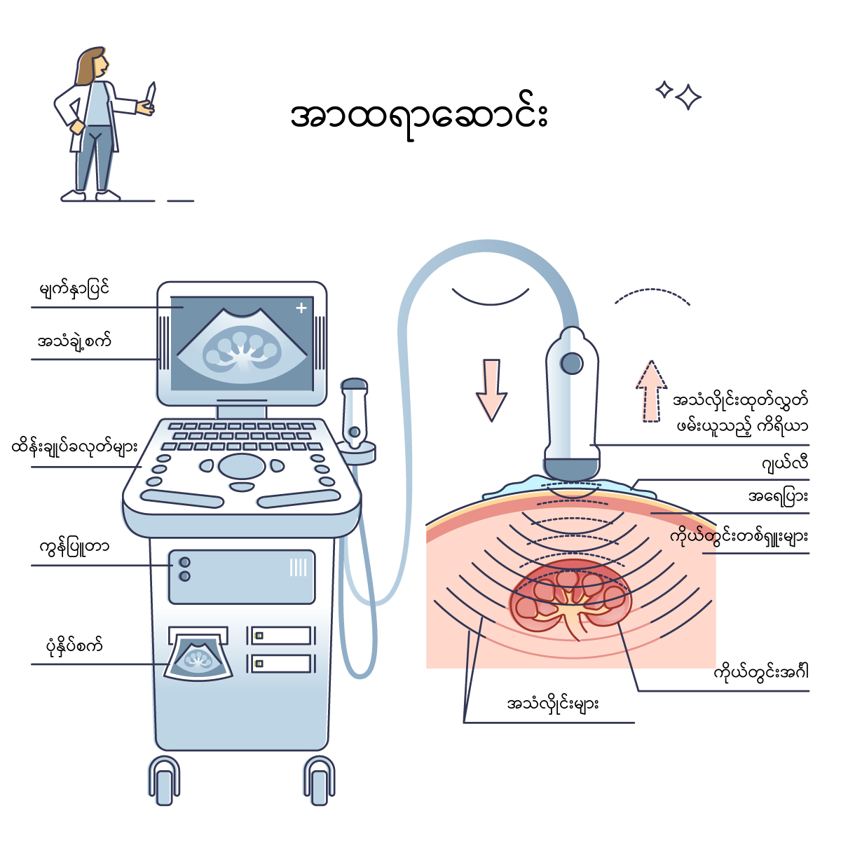 Ultrasound (အာထရာဆောင်း) - CLL HEALTH