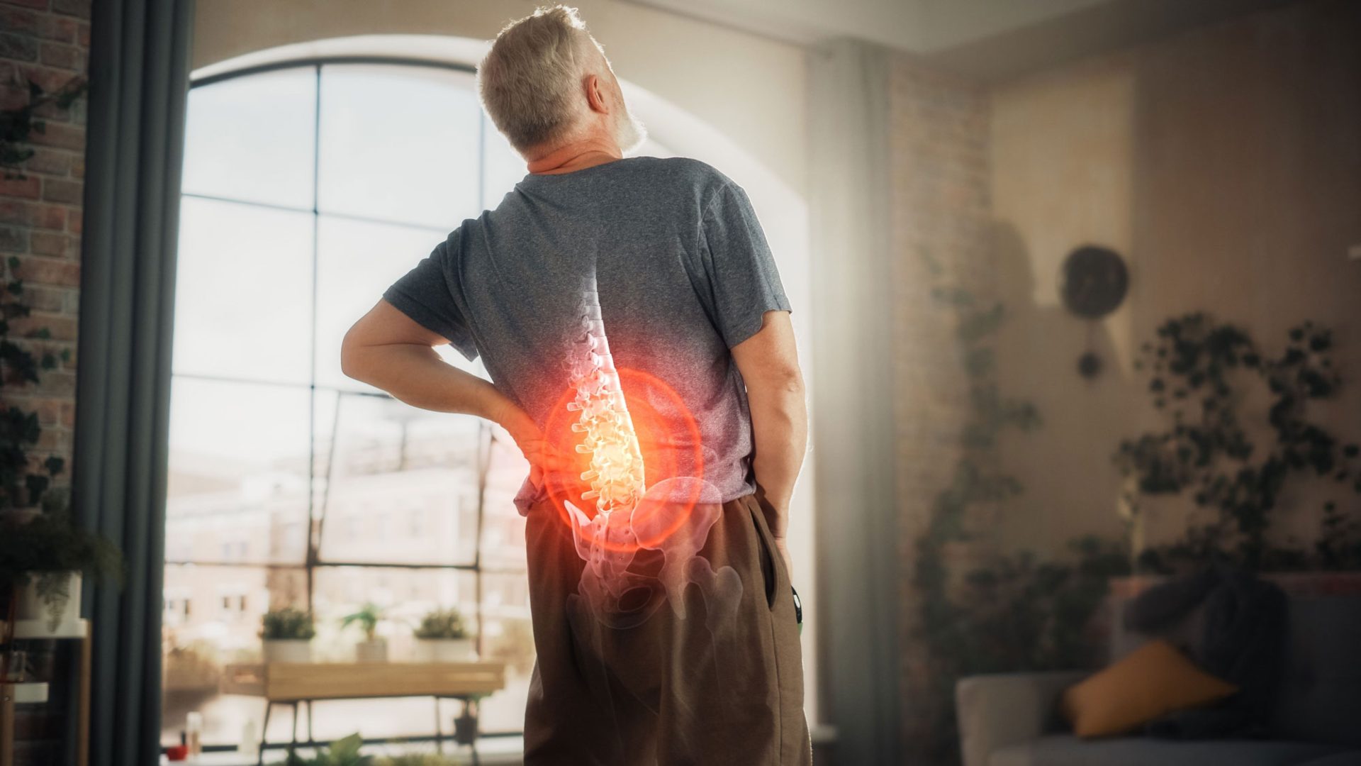 Back pain (ခါးနာခြင်း) - CLL HEALTH